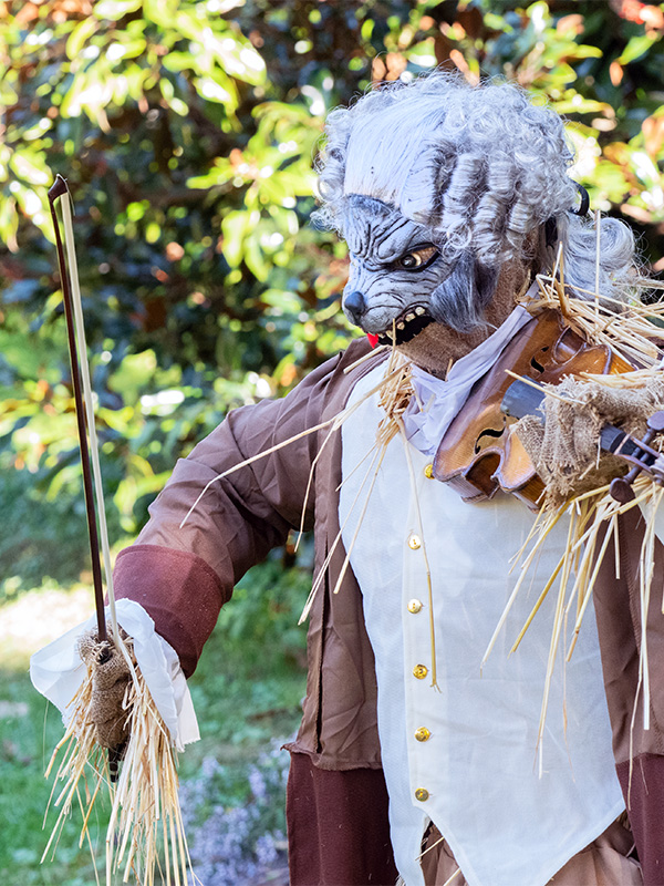 Morris Arboretum - Special Events